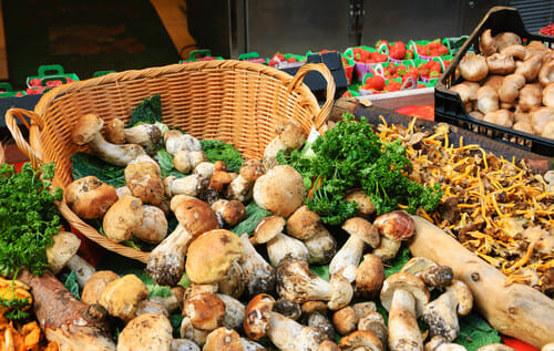 フランスの家庭料理レシピ （無料体験から）60分3000円